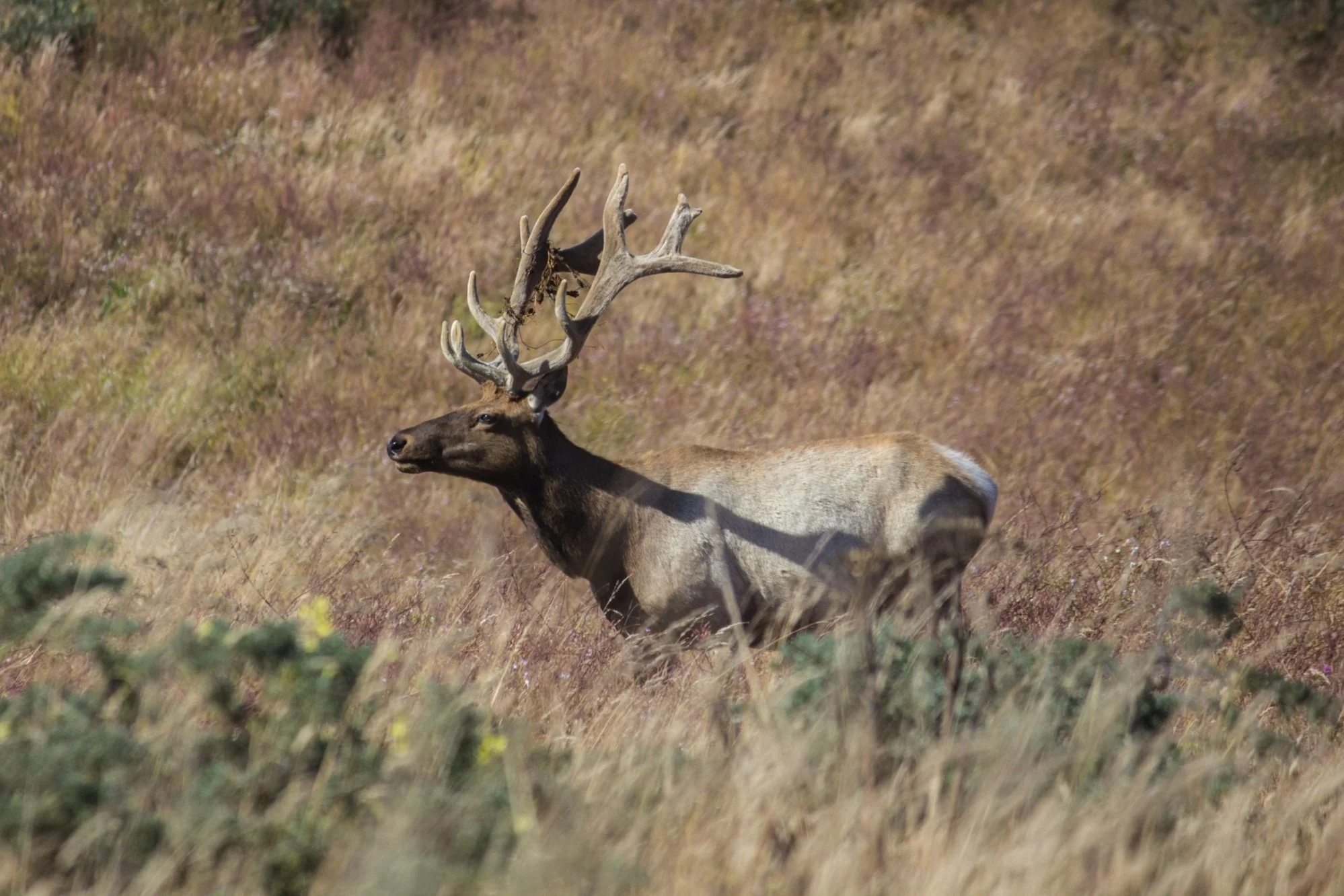Resource Renewal Institute | Act Now for Nature