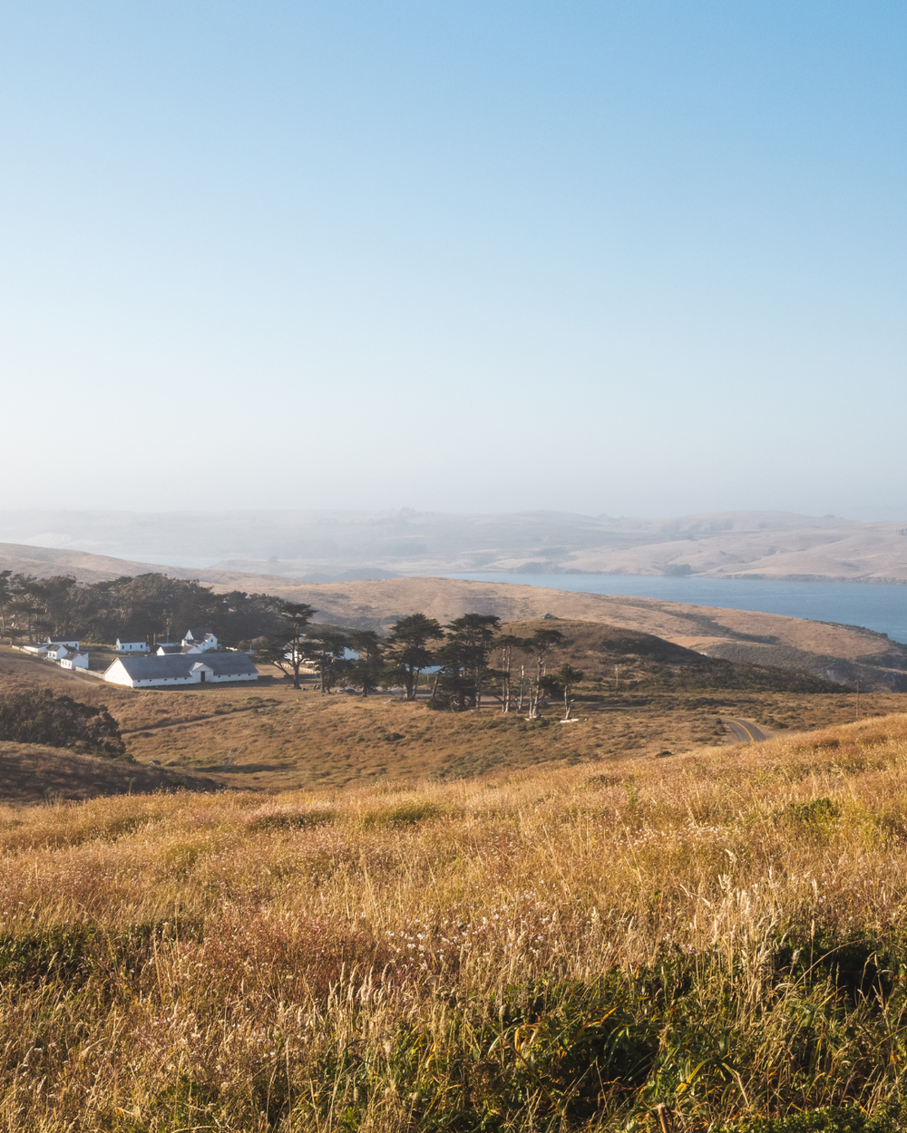 Tomales Bay Grazing Waiver: What is it & Why Does it Matter? — Resource ...