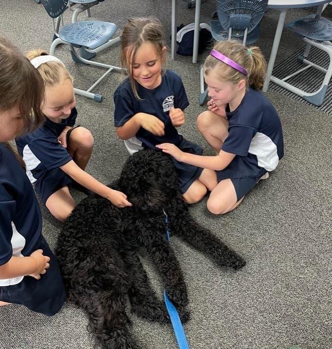 Staff — Henley School