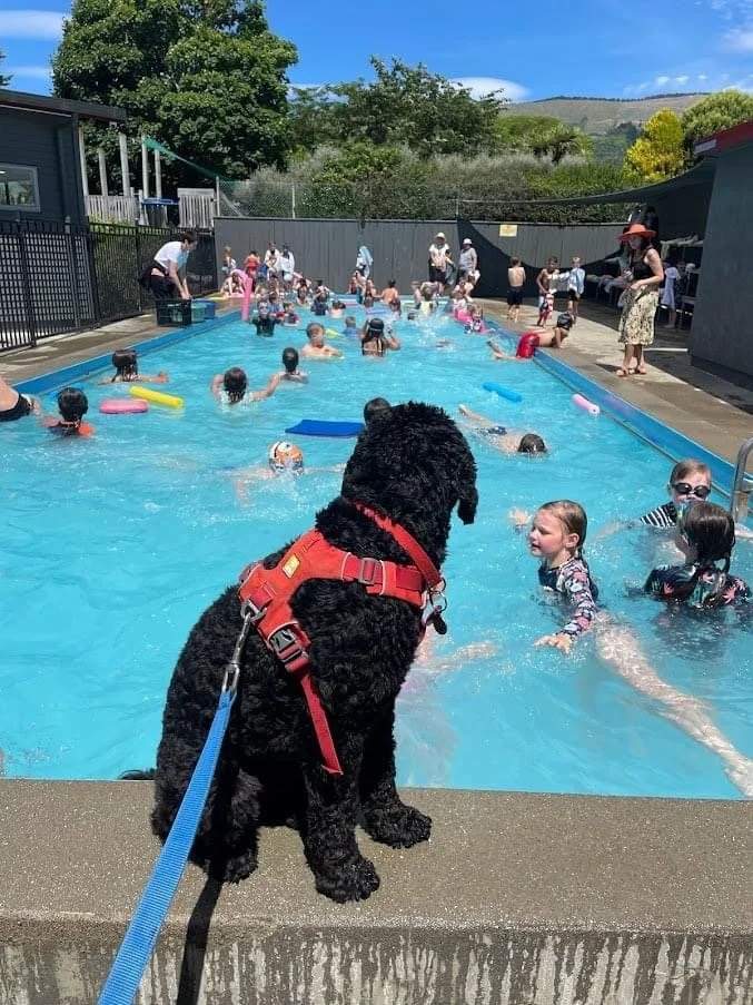 Swimming Pool Key — Henley School
