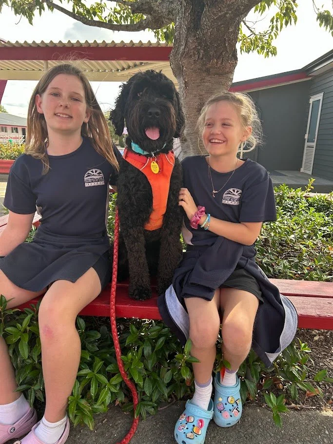 Staff — Henley School