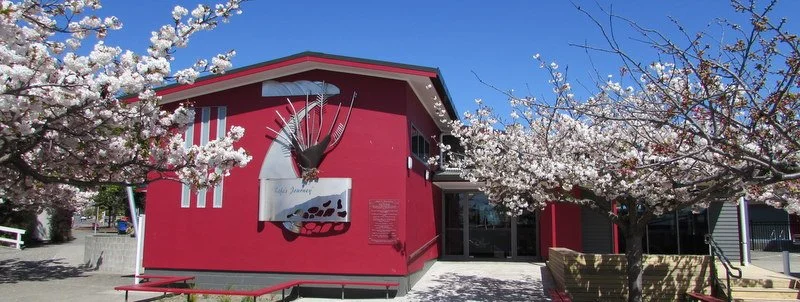 About Our School — Henley School