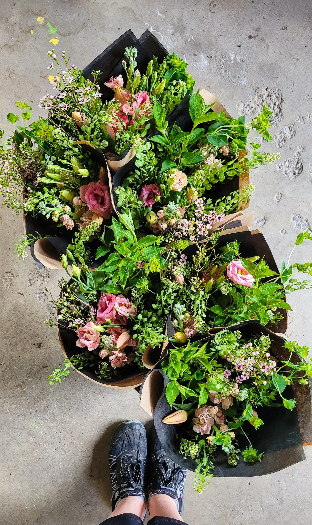 Cold Springs Flower Farm