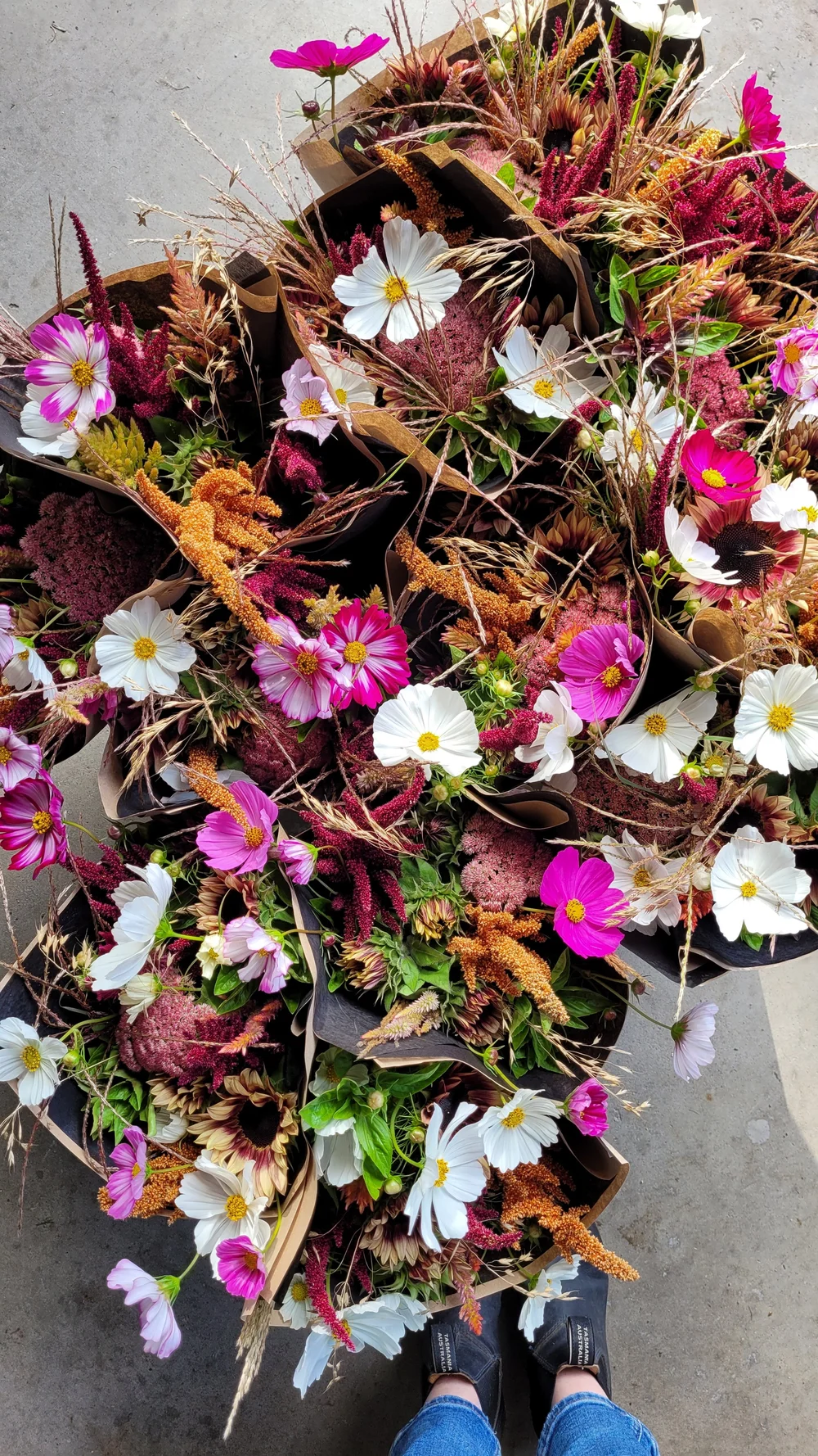 Cold Springs Flower Farm | Shop Locally-Grown Flowers in Cobourg — Cold ...