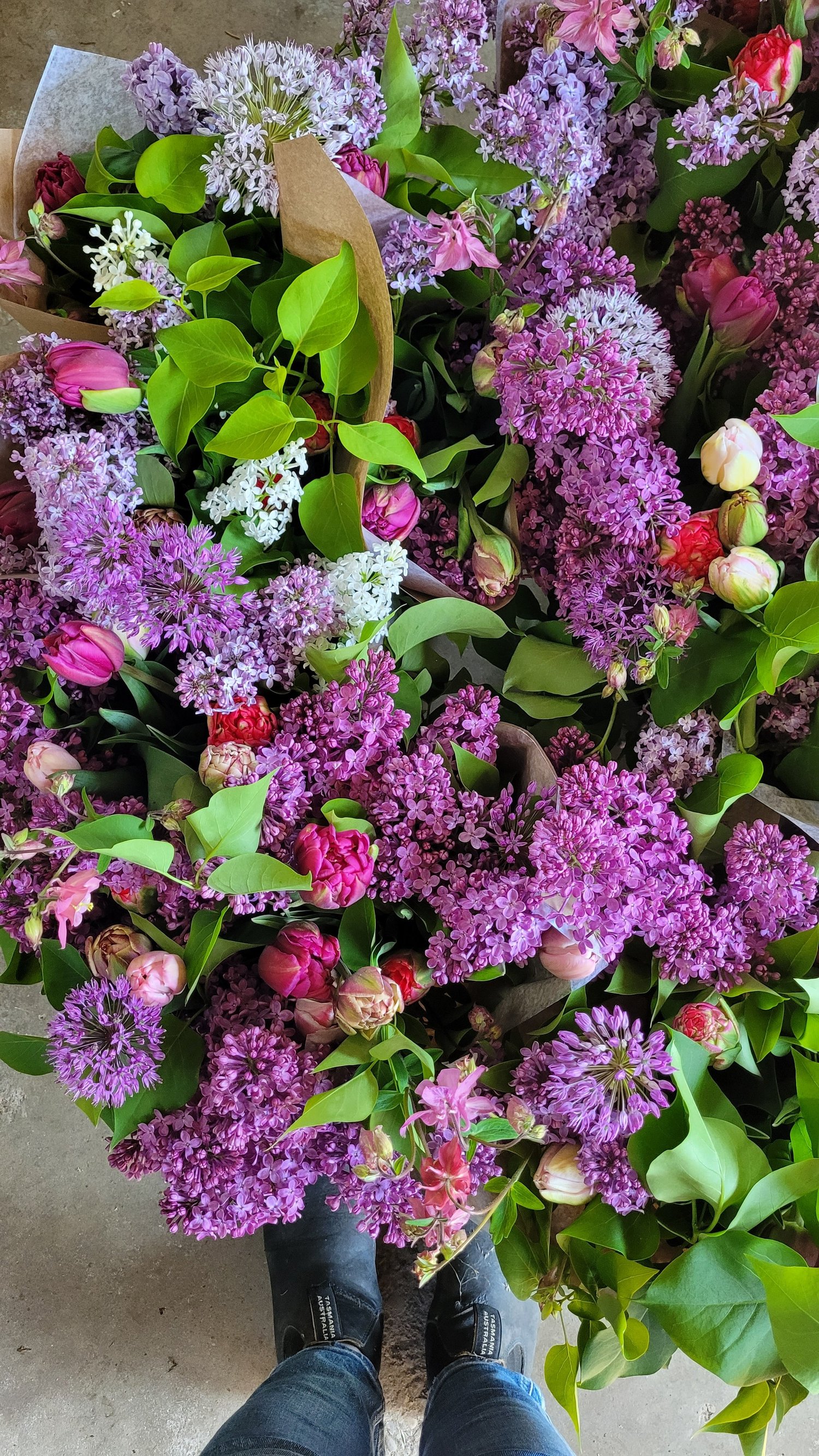 Cold Springs Flower Farm | Locally Grown in Northumberland County