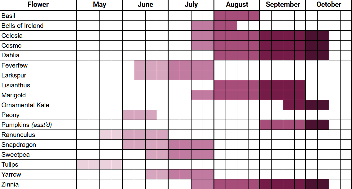 What Month do Flowers Bloom? A Month-by-Month Flower Guide for Local ...