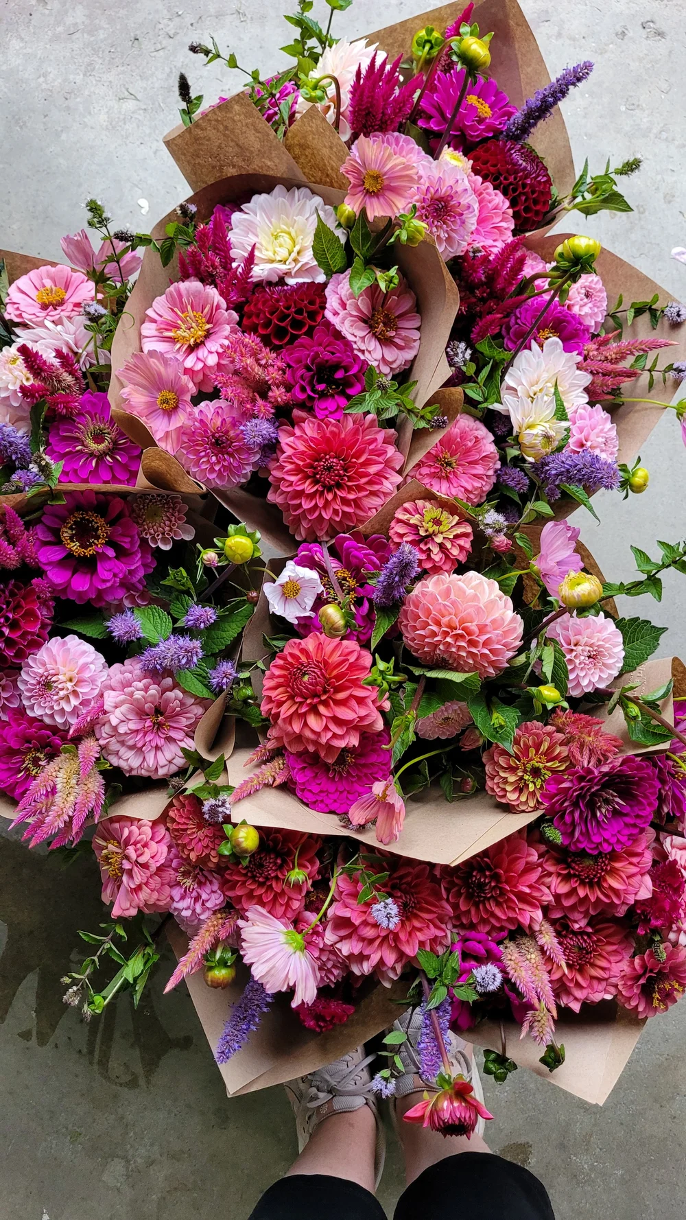 Cold Springs Flower Farm | Pick Your Own Flowers in Cobourg