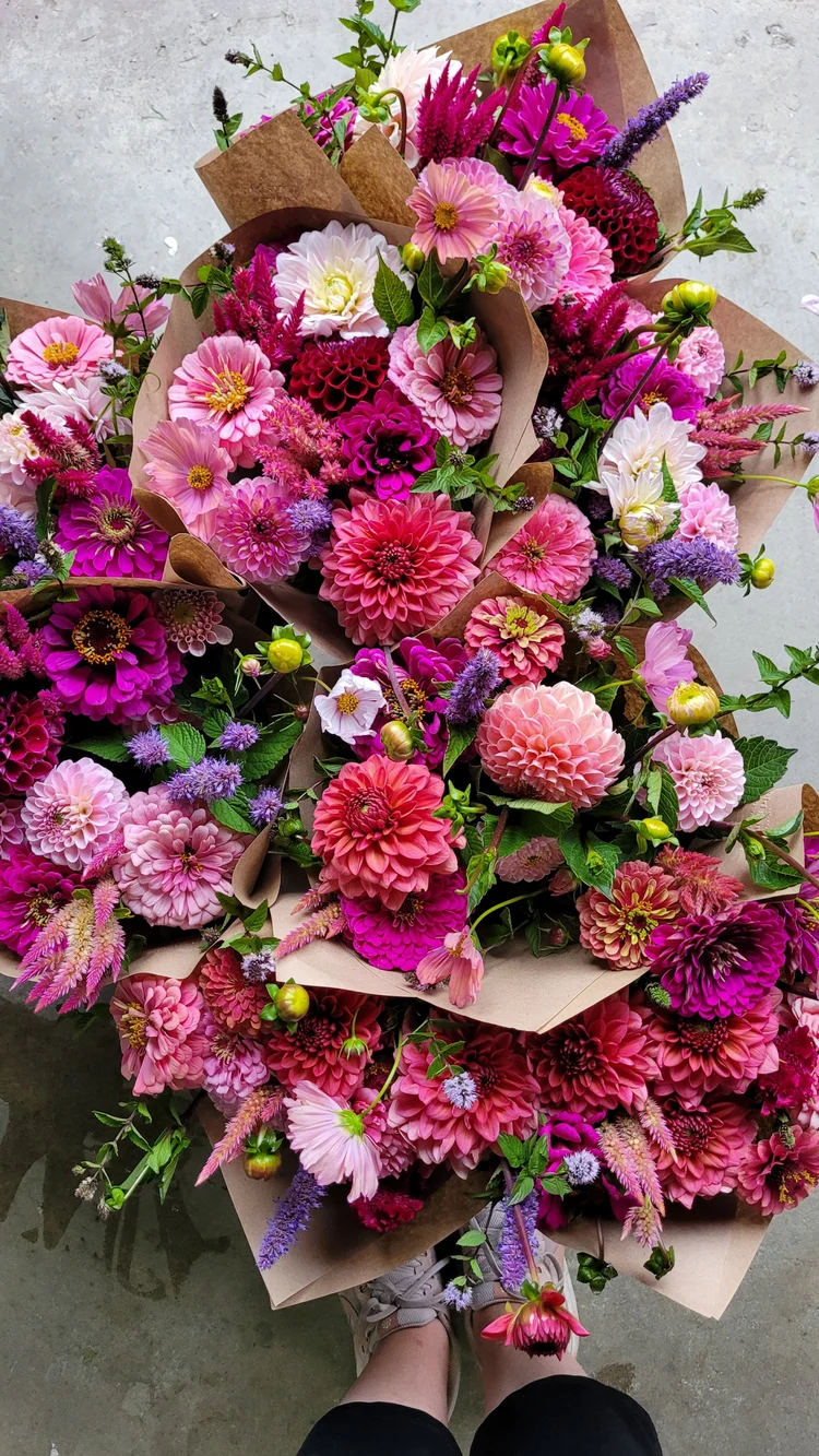 Cold Springs Flower Farm | Pick Your Own Flowers in Cobourg