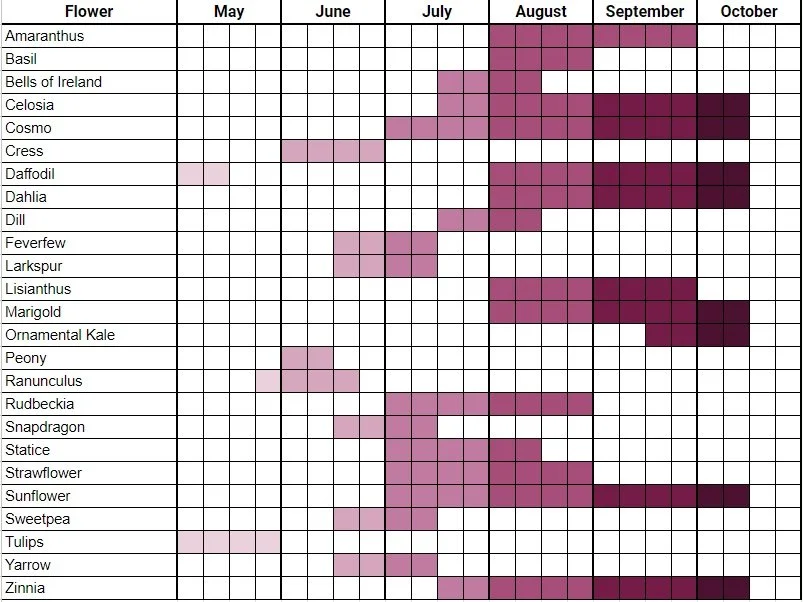 The CSFF Growing Calendar: See What’s in Bloom Each Month — Cold ...