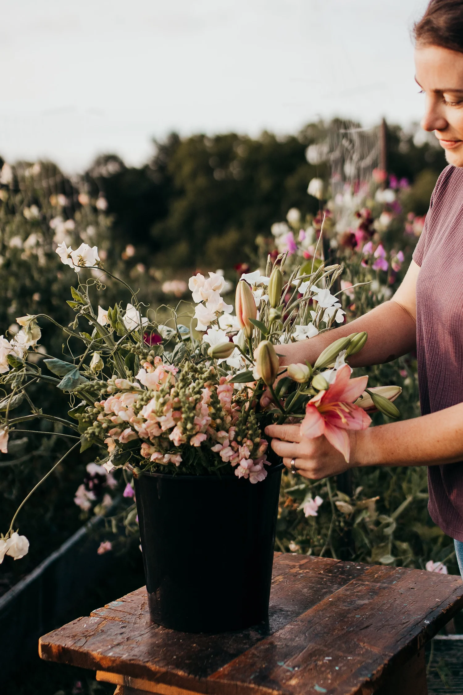 Cold Springs Flower Farm