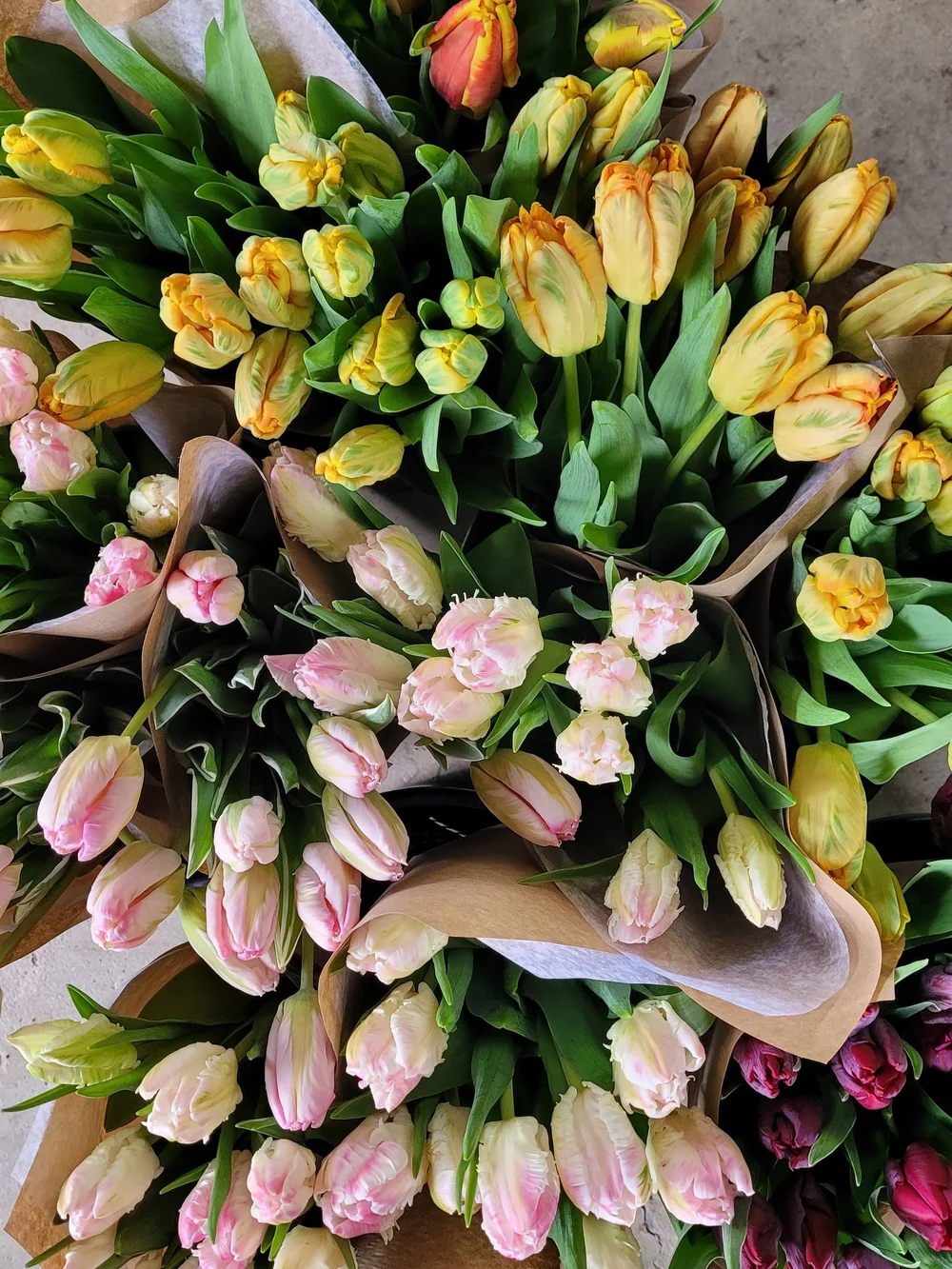 Bouquet Subscriptions: How Our Monthly Flower Delivery Service Works ...