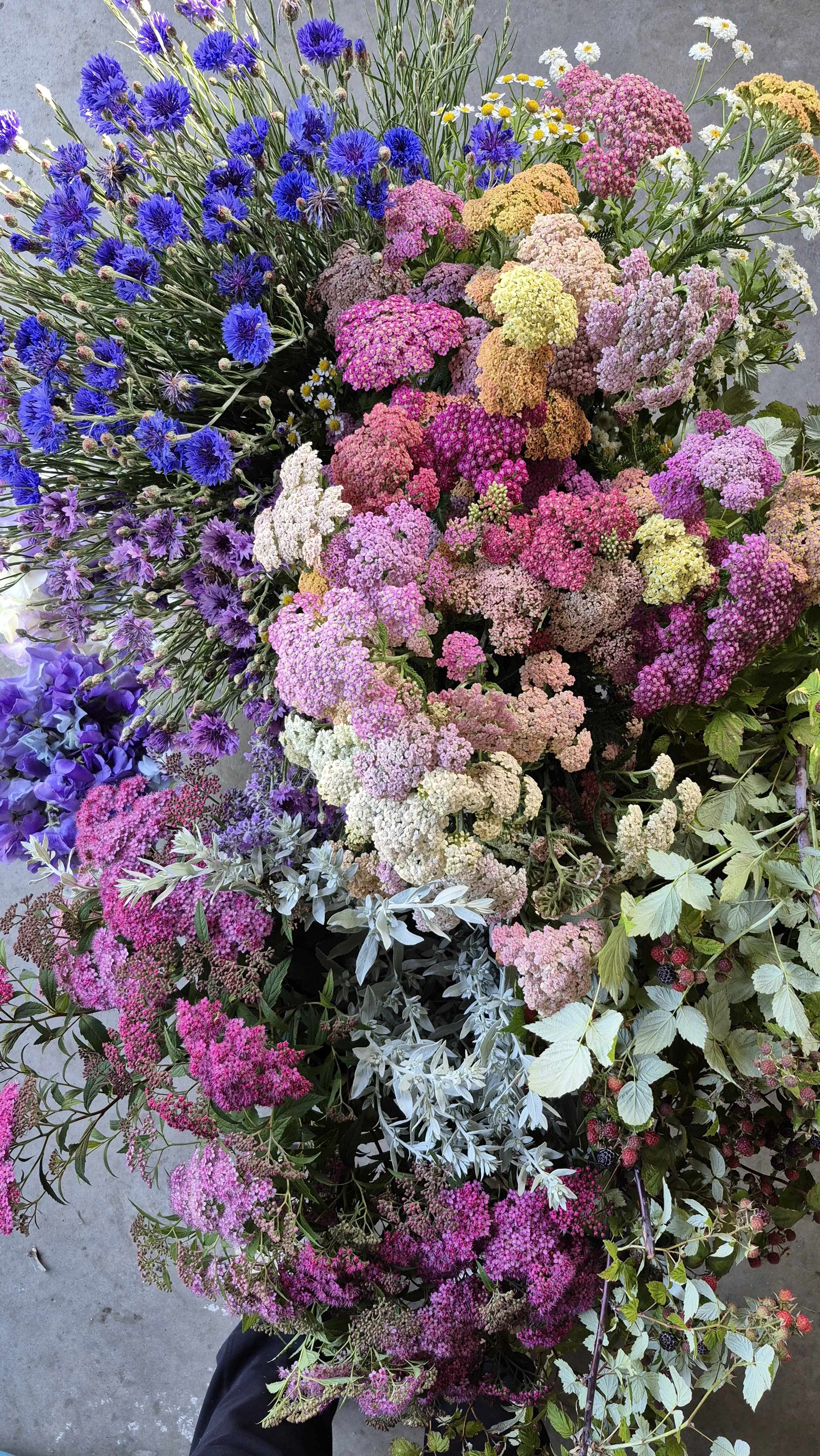 What Month do Flowers Bloom? A Month-by-Month Flower Guide for Local ...