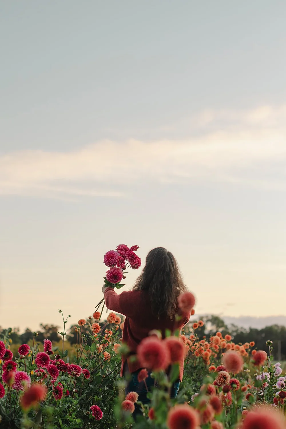 Cold Springs Flower Farm | Pick Your Own Flowers in Cobourg