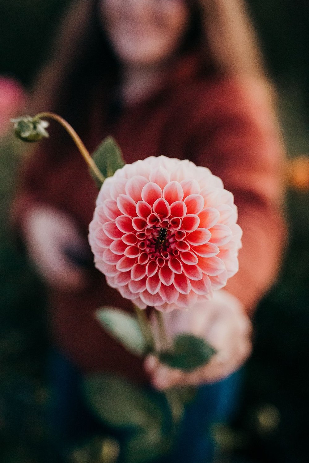 Cold Springs Flower Farm