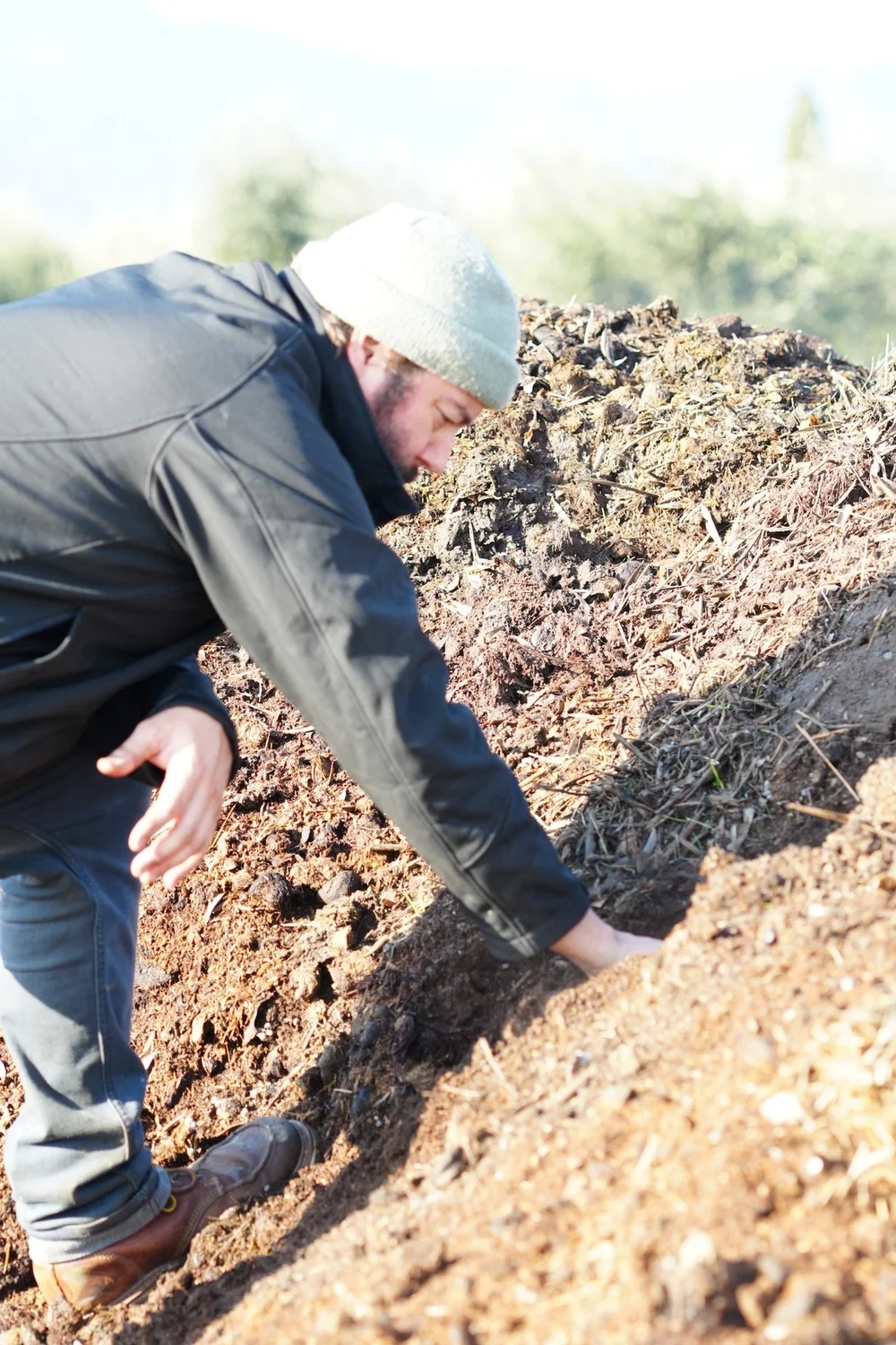 Why Frantoio Grove Relies on Regenerative Agriculture | The Olive Oil ...