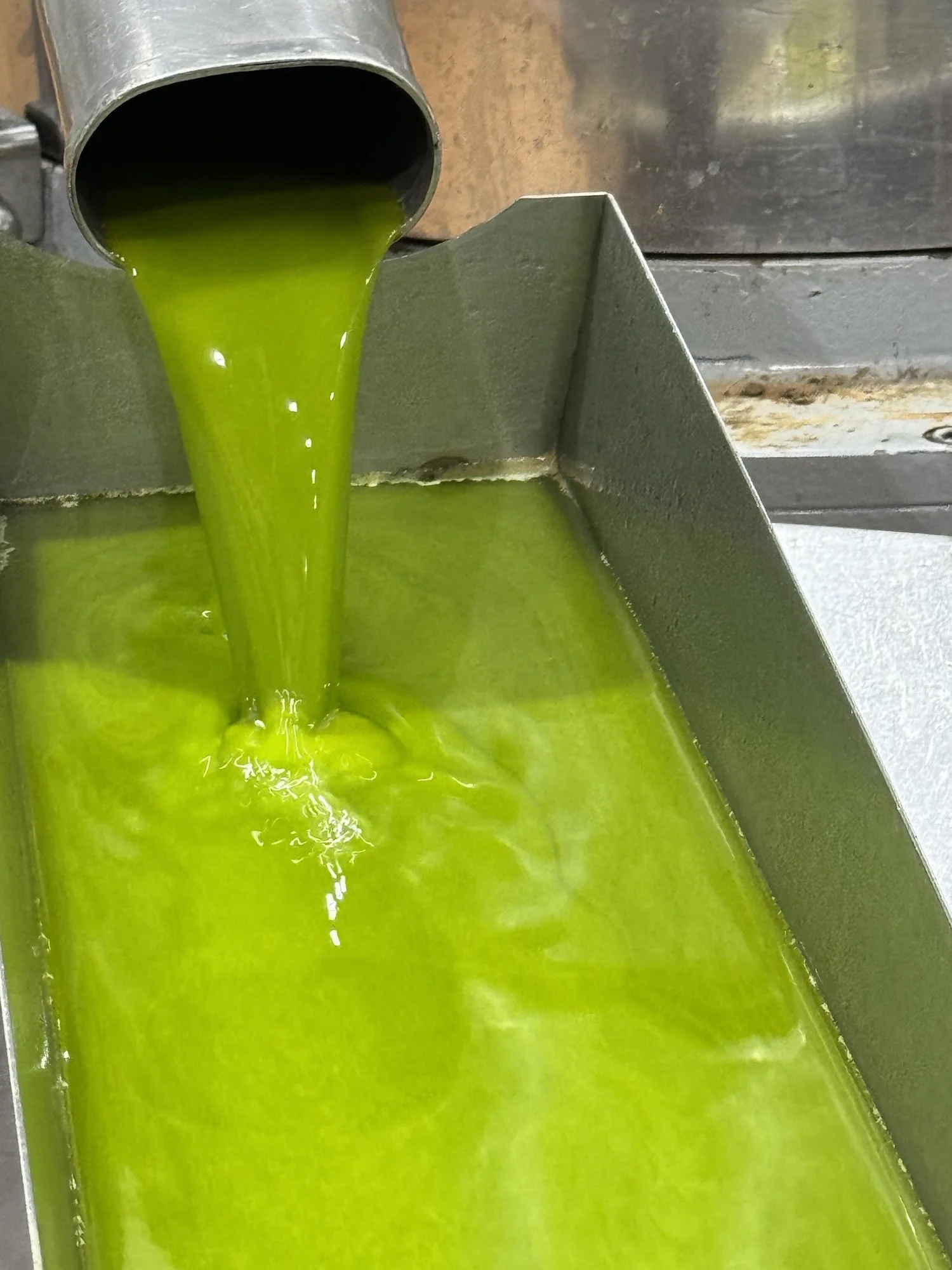 Get to Know Spanish Olive Oil | The Olive Oil Professor