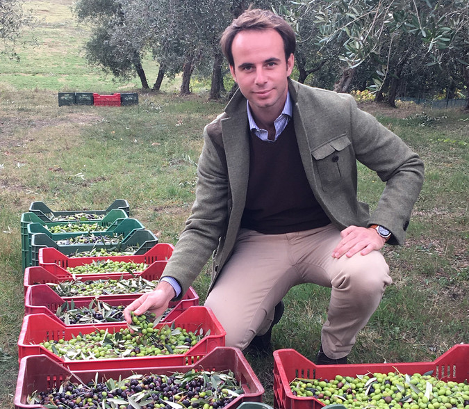 Laudemio Frescobaldi: Leading the Way for Premium Italian Olive Oil ...