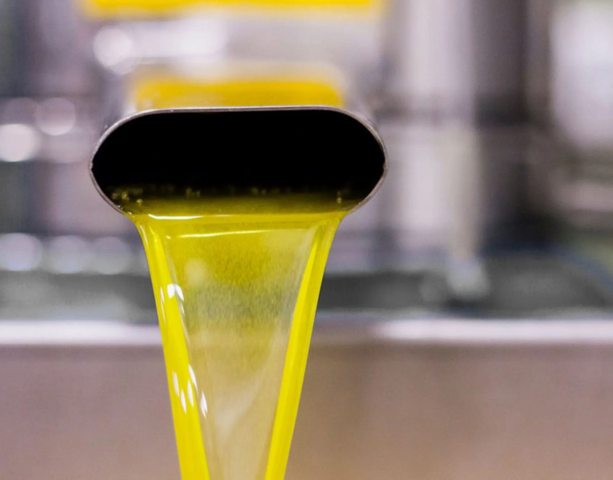 What Makes Olive Oil Healthy? | The Olive Oil Professor