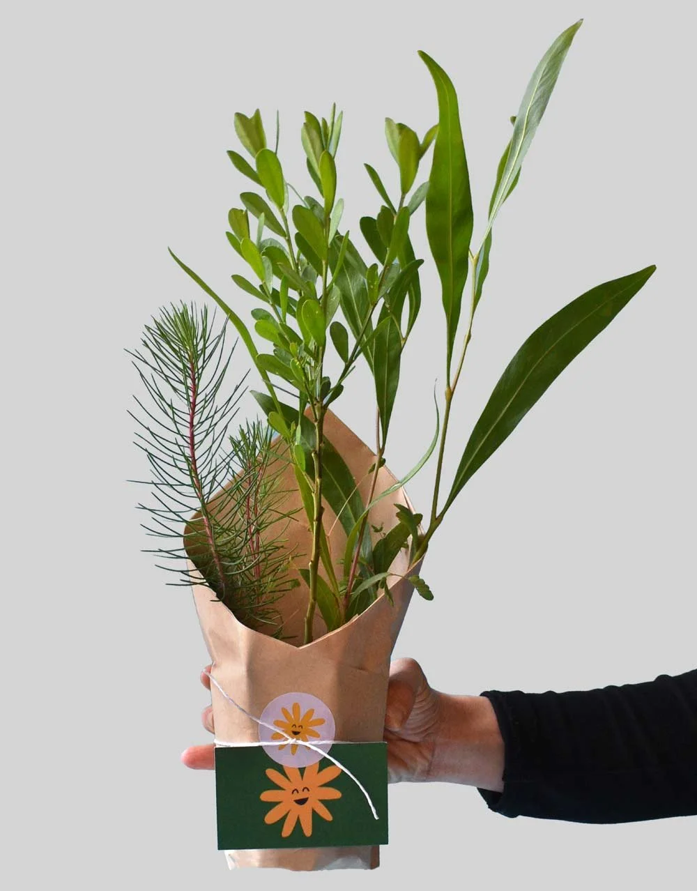 Snippy's Yard | Perth Plant Delivery | WA Native Plants | Online Garden ...