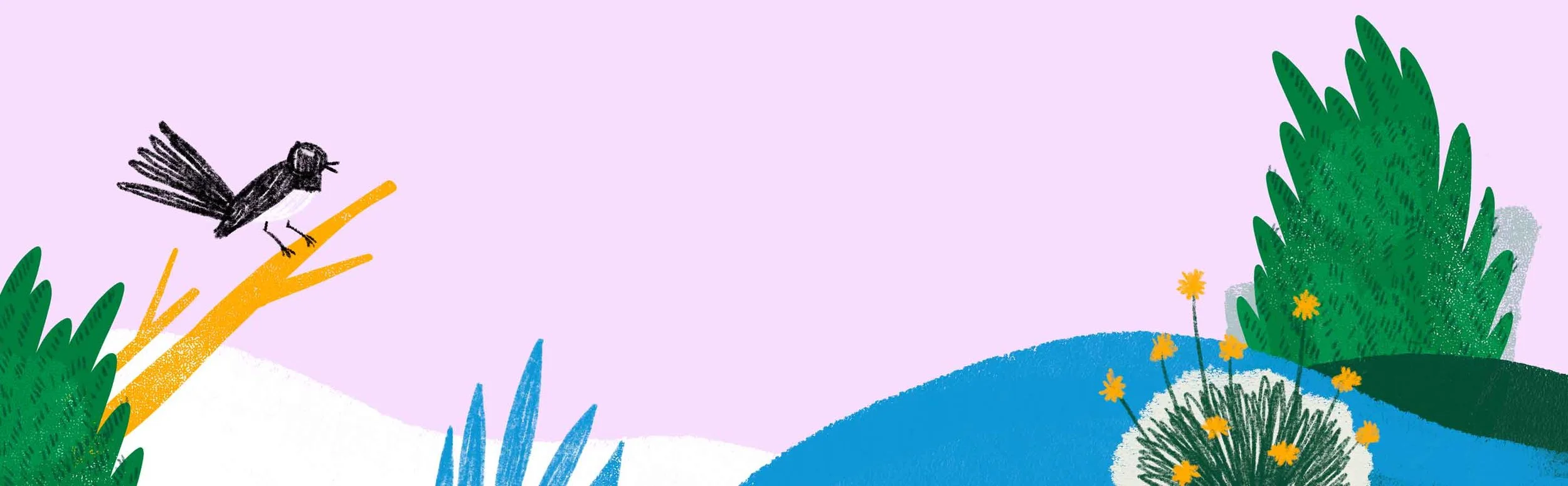 Snippy's Yard | Perth Plant Delivery | WA Native Plants | Online Garden ...