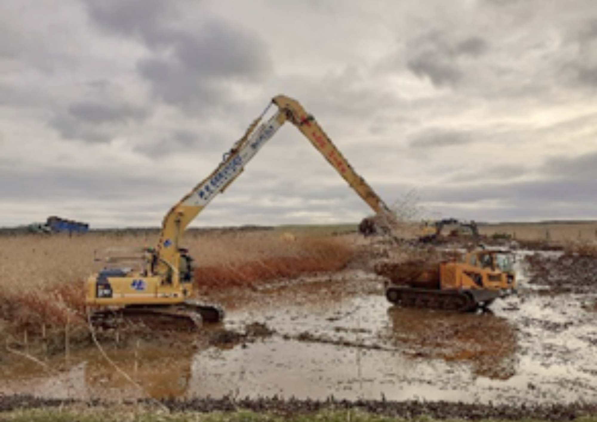 Reedbed Servicing and Maintenance