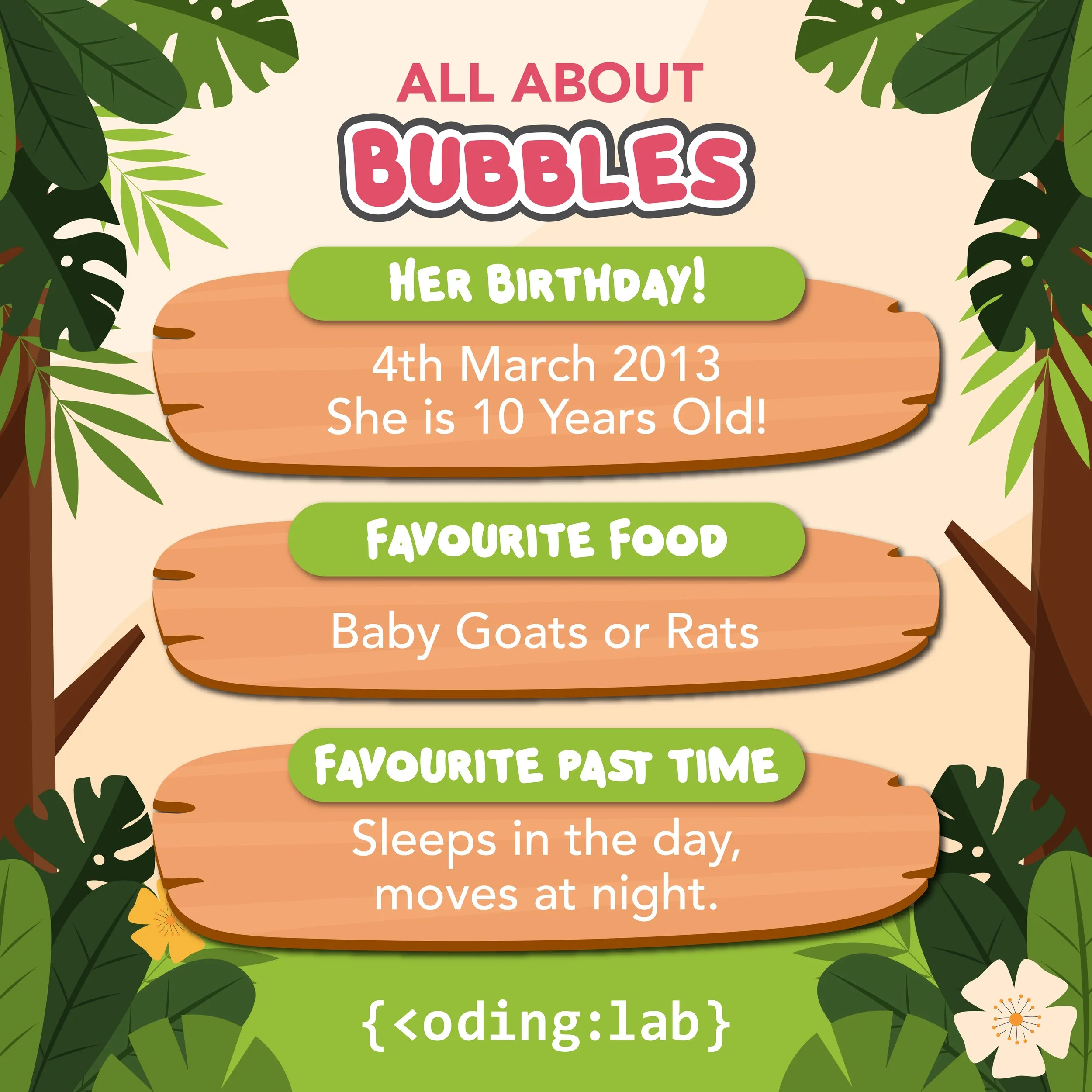 We adopted a Python! | Coding Lab