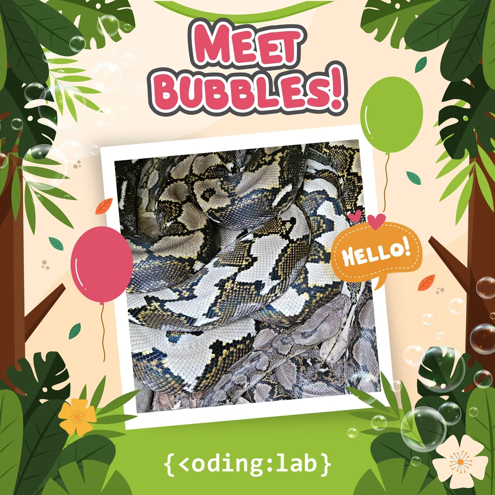 We adopted a Python! | Coding Lab