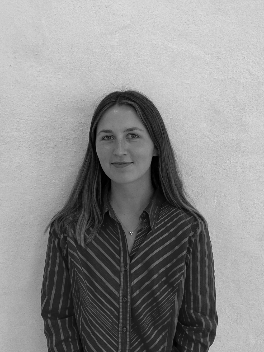 Om os — INVI – Institut for vilde problemer