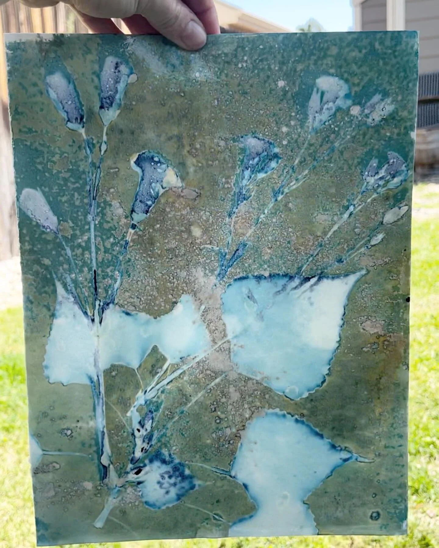 WHAT IS A CYANOTYPE PRINT? — Far Mountain Studio