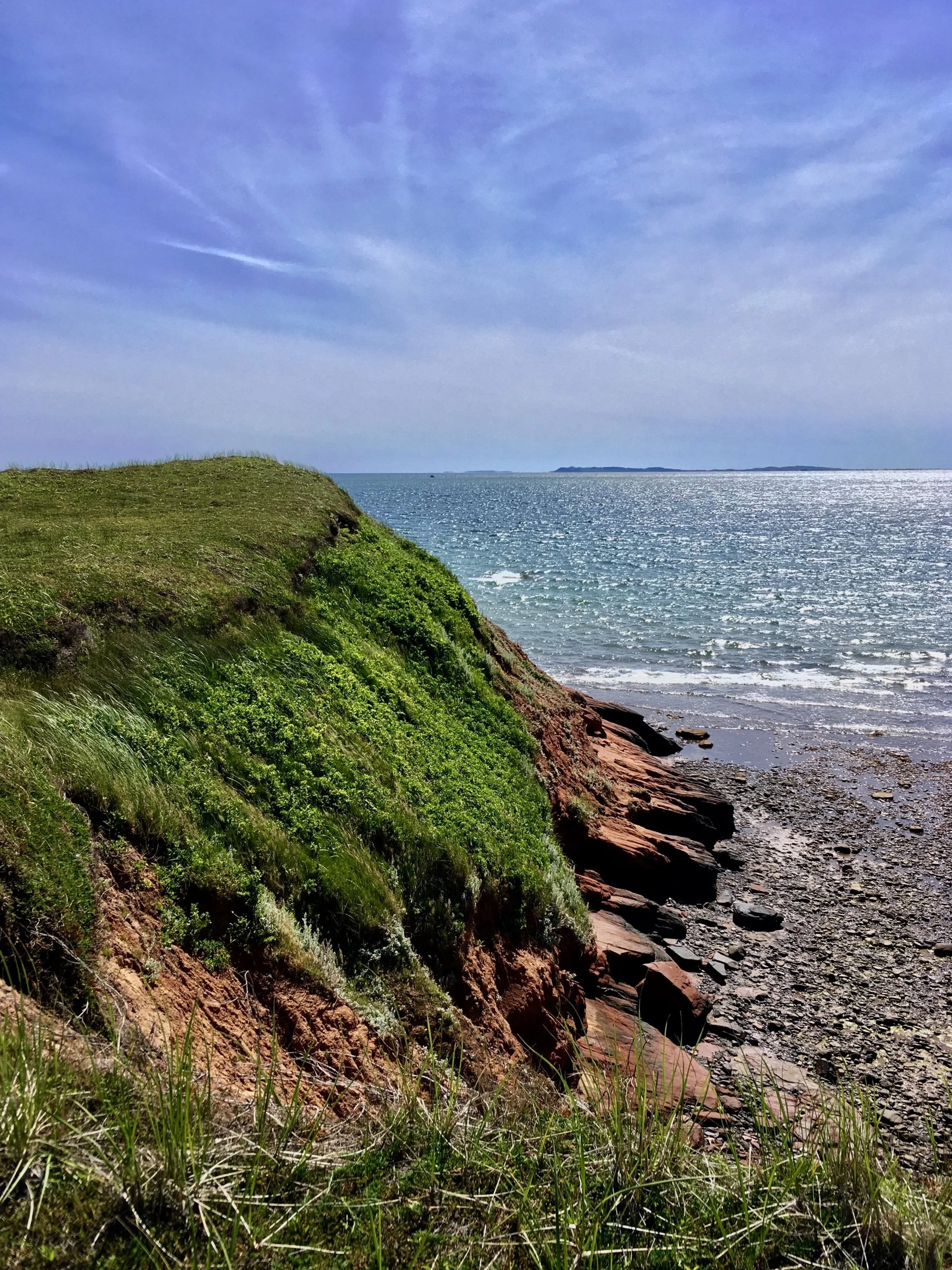 Le Myrique des Îles — Alliance Myrique