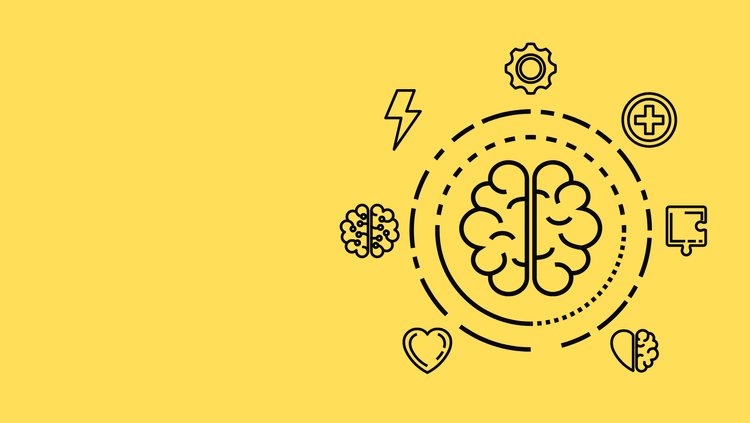 Education Health Care Plan