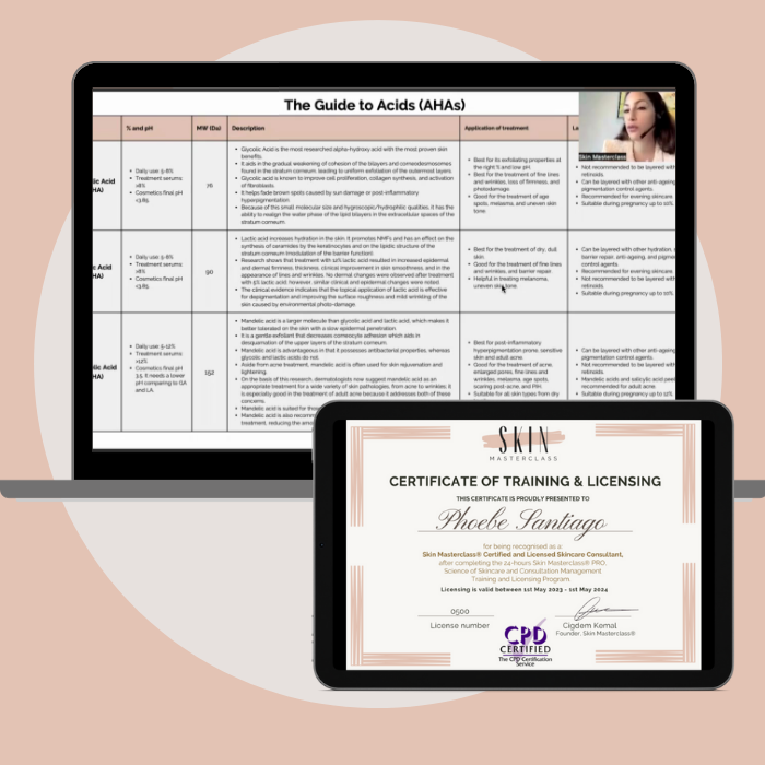 Skin Masterclass PRO | CPD Skincare Certification & Licensing