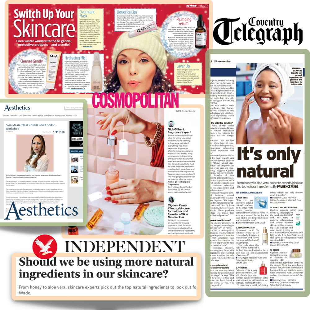 Skin Masterclass PRO Program | CPD Certified Skincare Science and ...