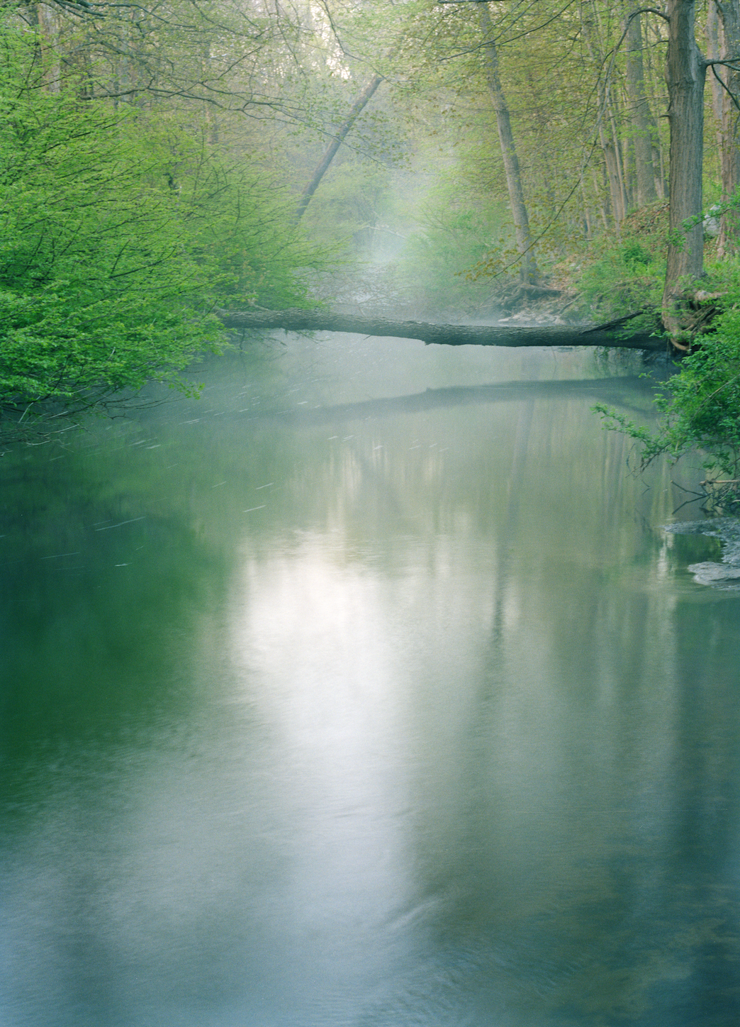 The Mianus River Gorge — Bedford & New Canaan Magazine