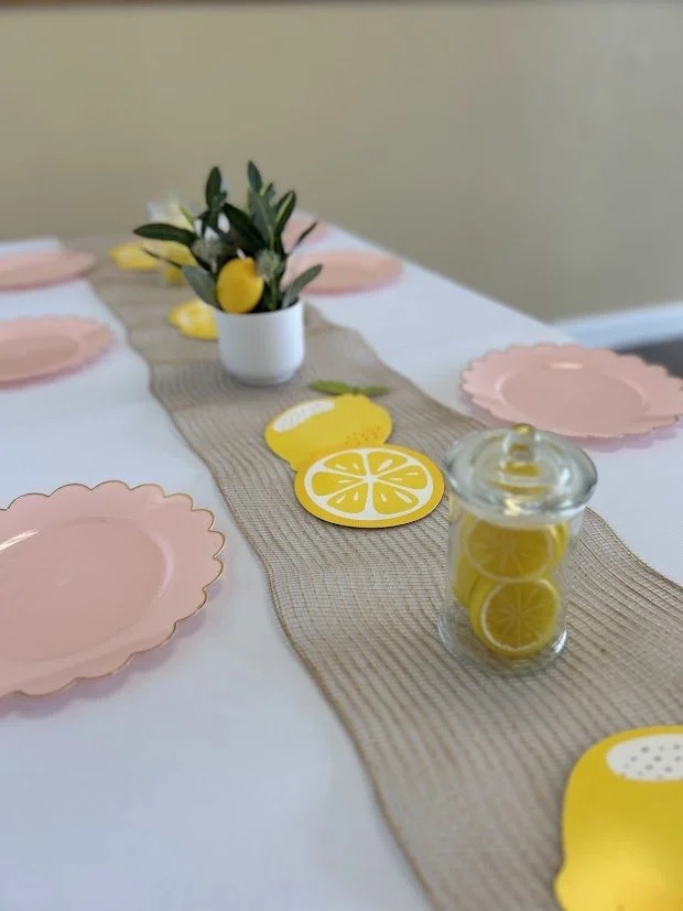 PARTY — Wild Sprouts Play Place