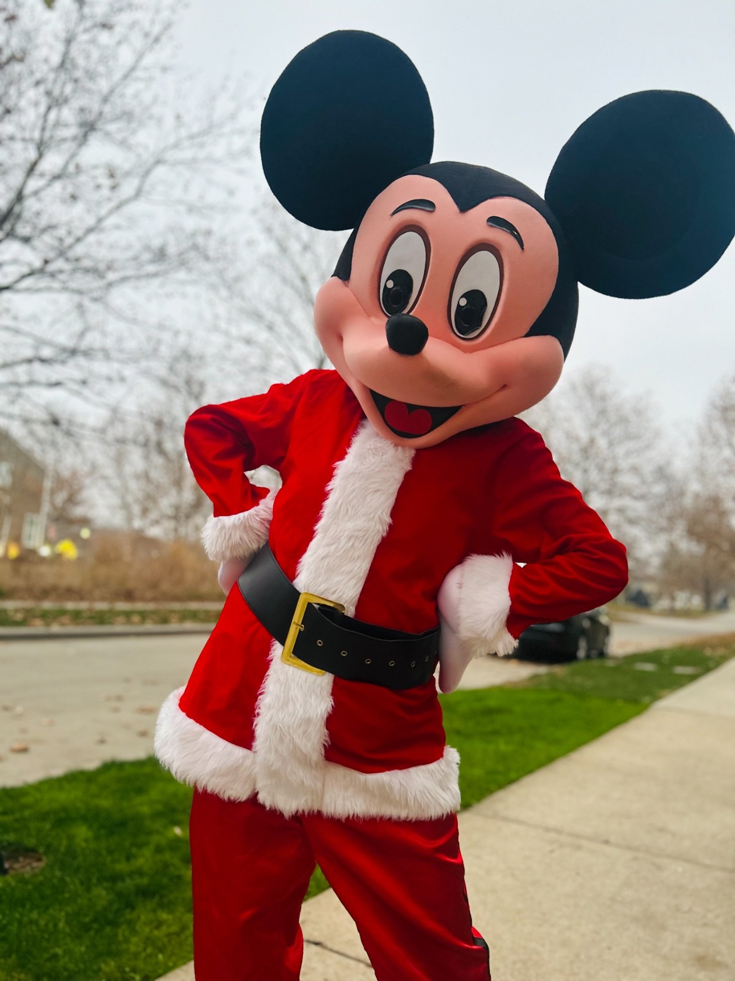 Wild Sprouts Play Place