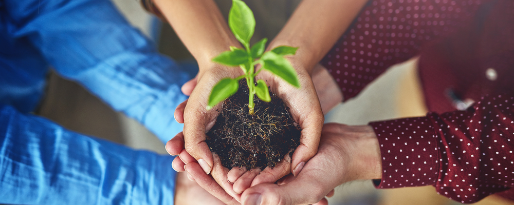 BRAVE SPACES: NURTURING CURIOSITY, COURAGE, AND BELONGING — Strive