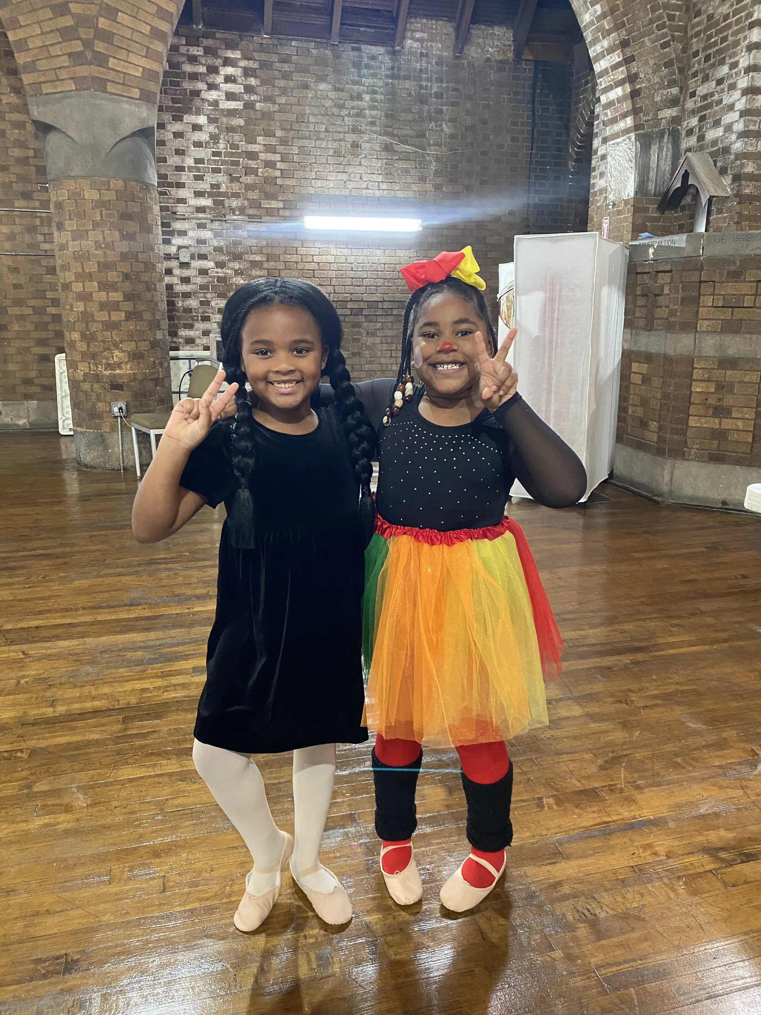 Sankofa School of The Arts — MAAFA Redemption Project