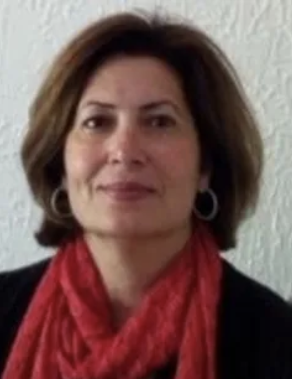 Randa Slim — SAIS Foreign Policy Institute