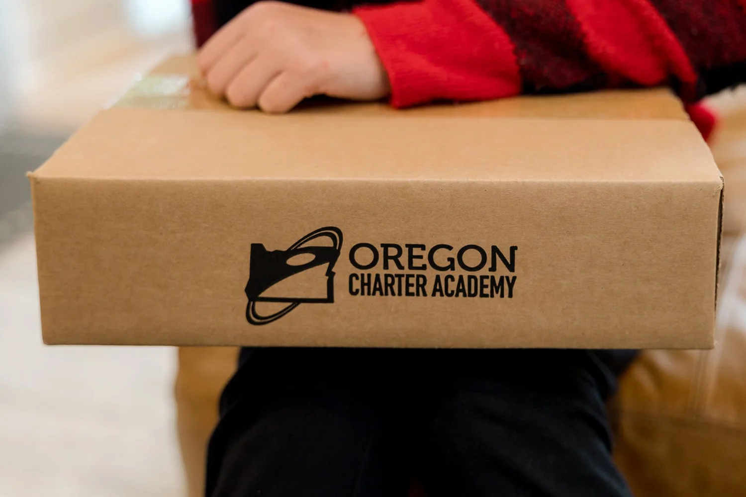 Demystifying Asynchronous and Synchronous Learning — Oregon Charter Academy