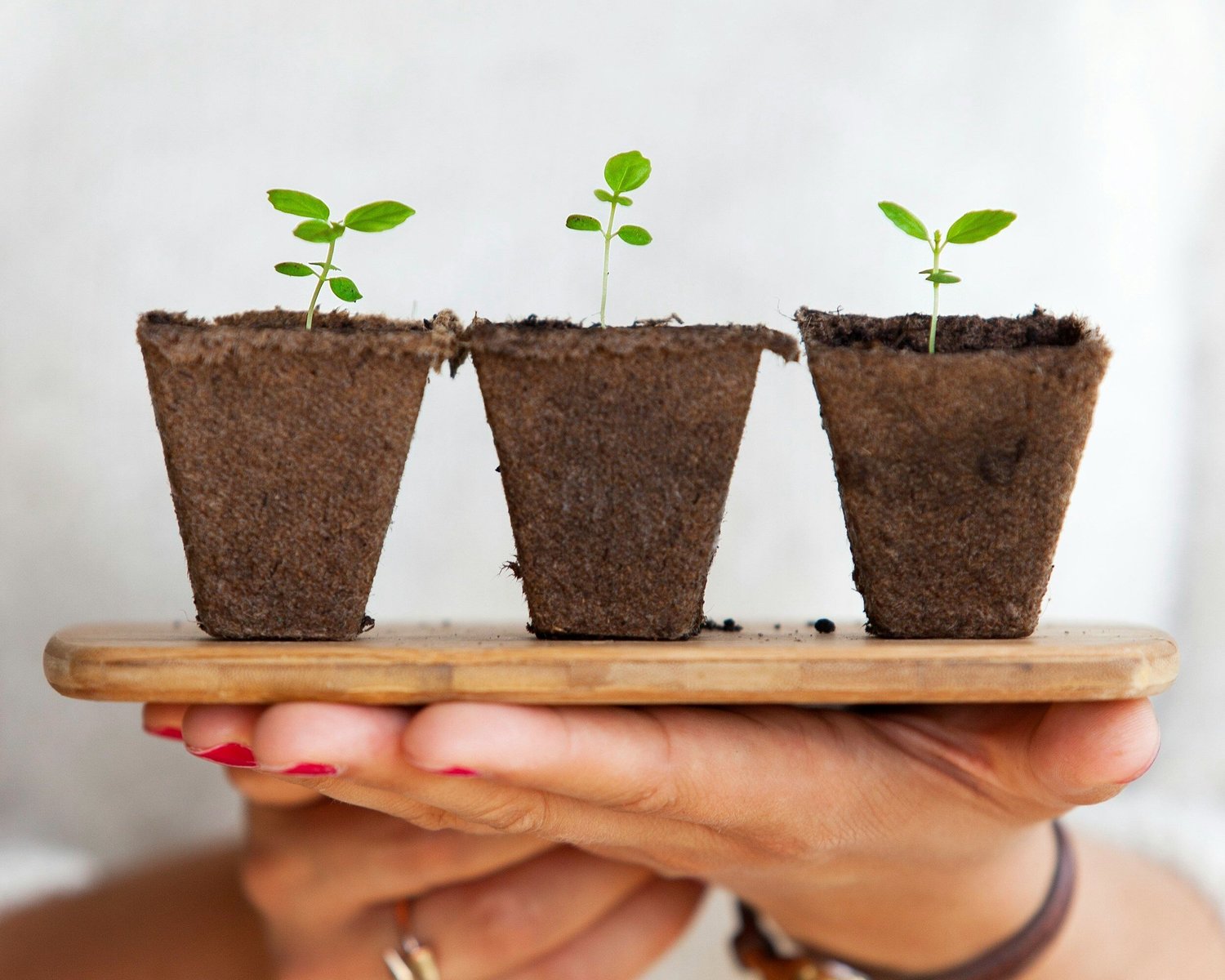 Our Resources — STRIVE_MN