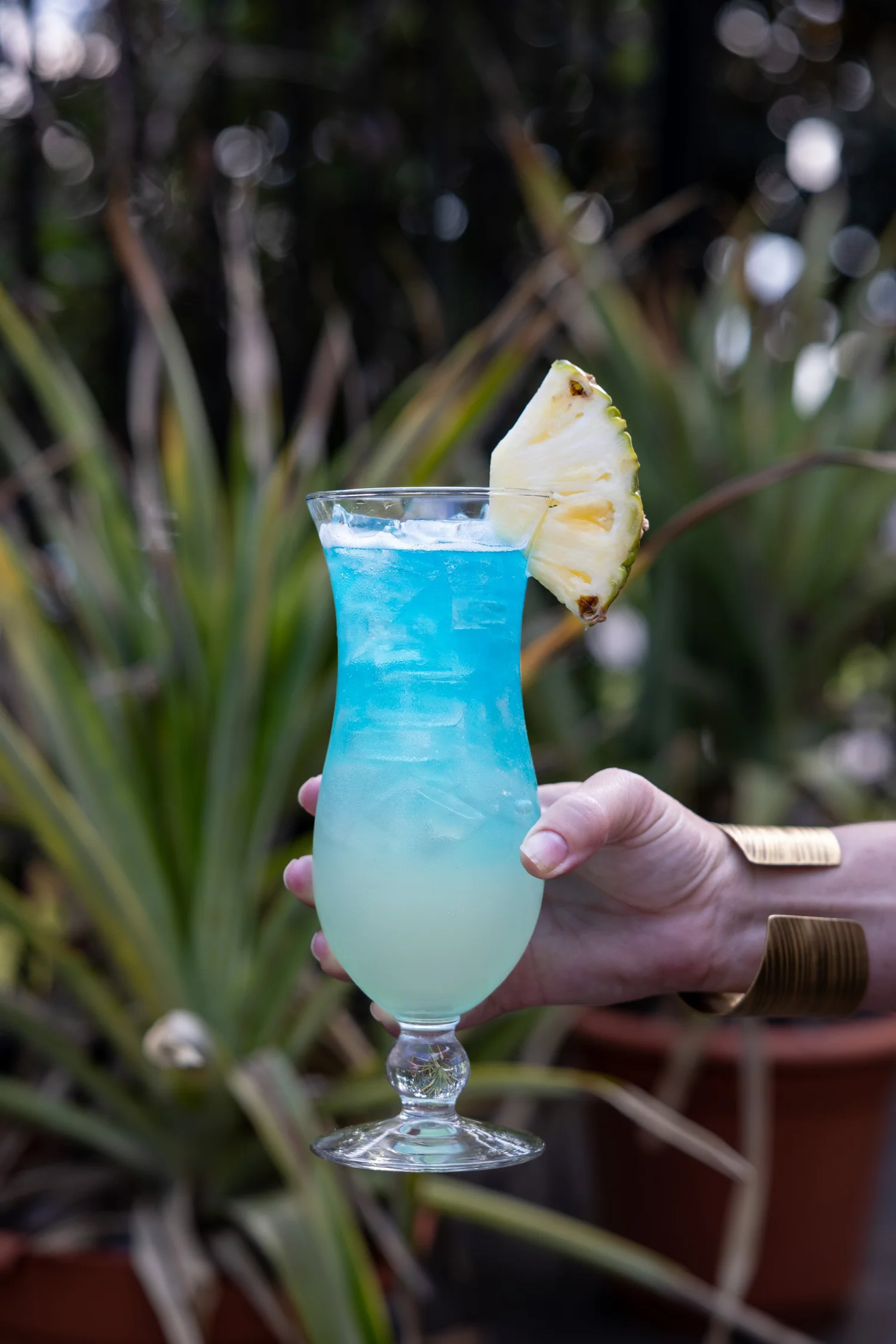 Half Shell Oyster House