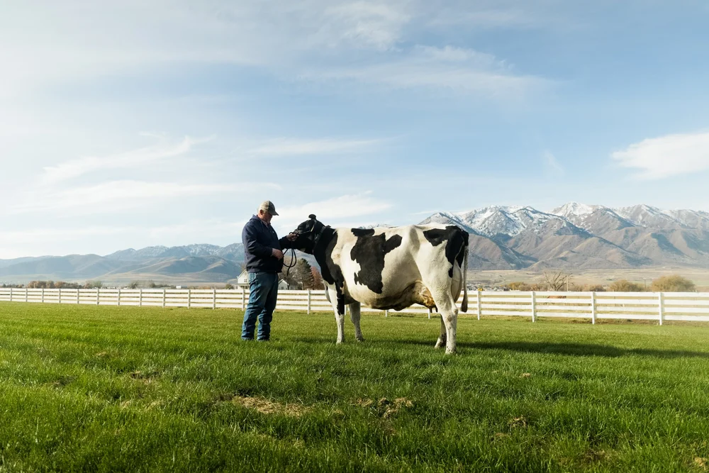 2024 National Holstein Convention