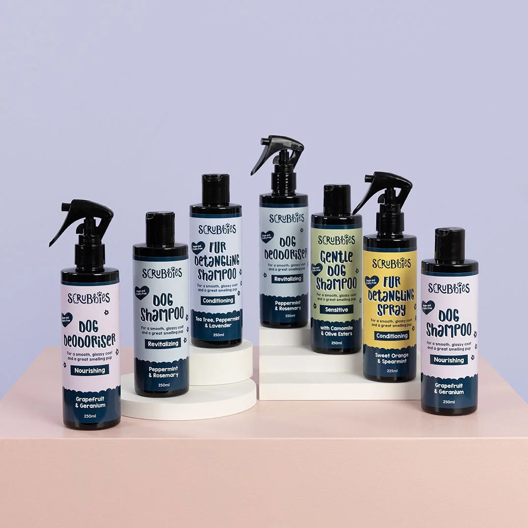 Pet Business Web Design — Pollyannish Studio