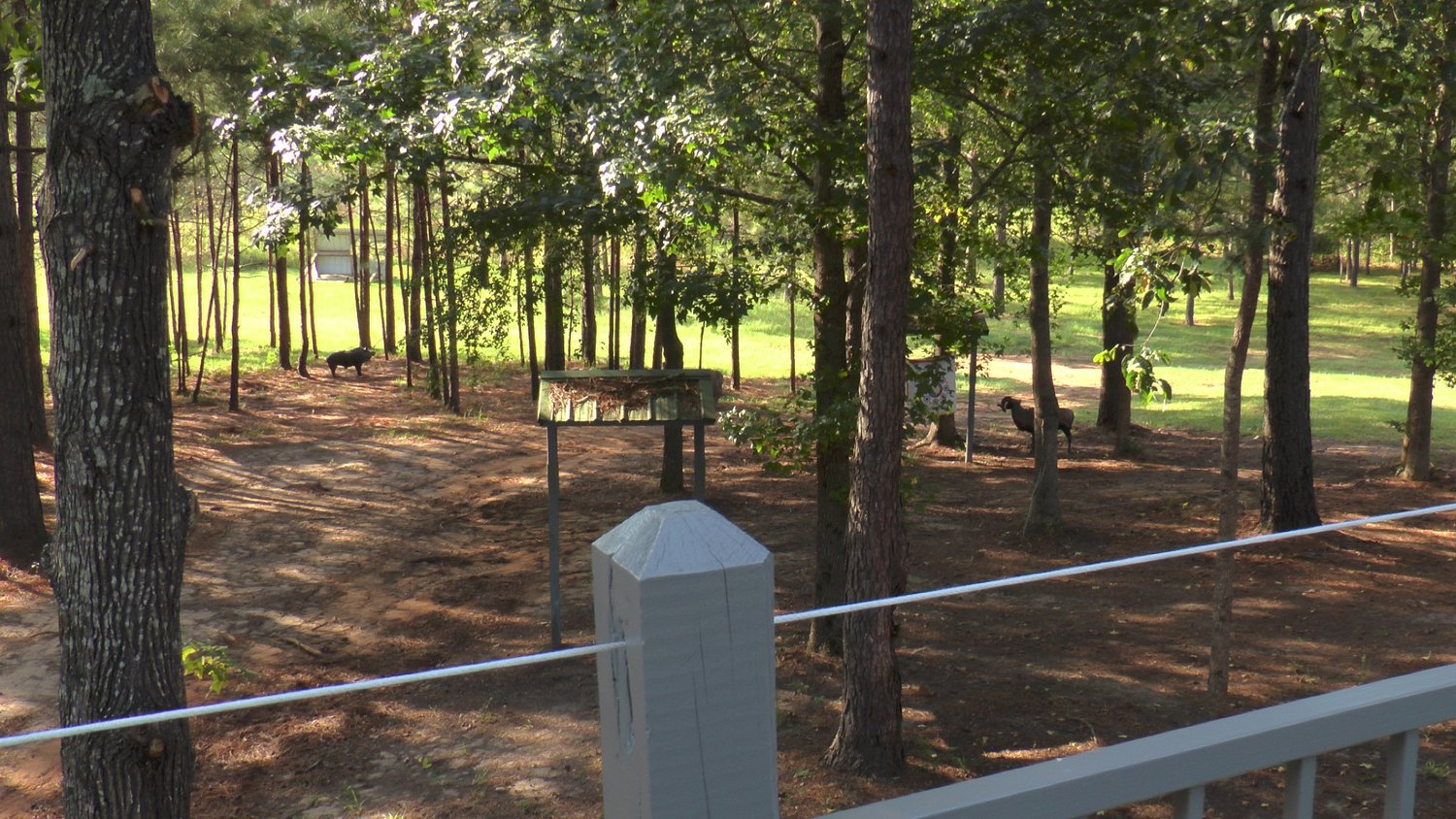 Public Shooting Range — Ouachita Parish Sheriff's Office