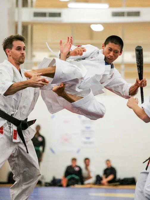 Mandarin Martial Arts