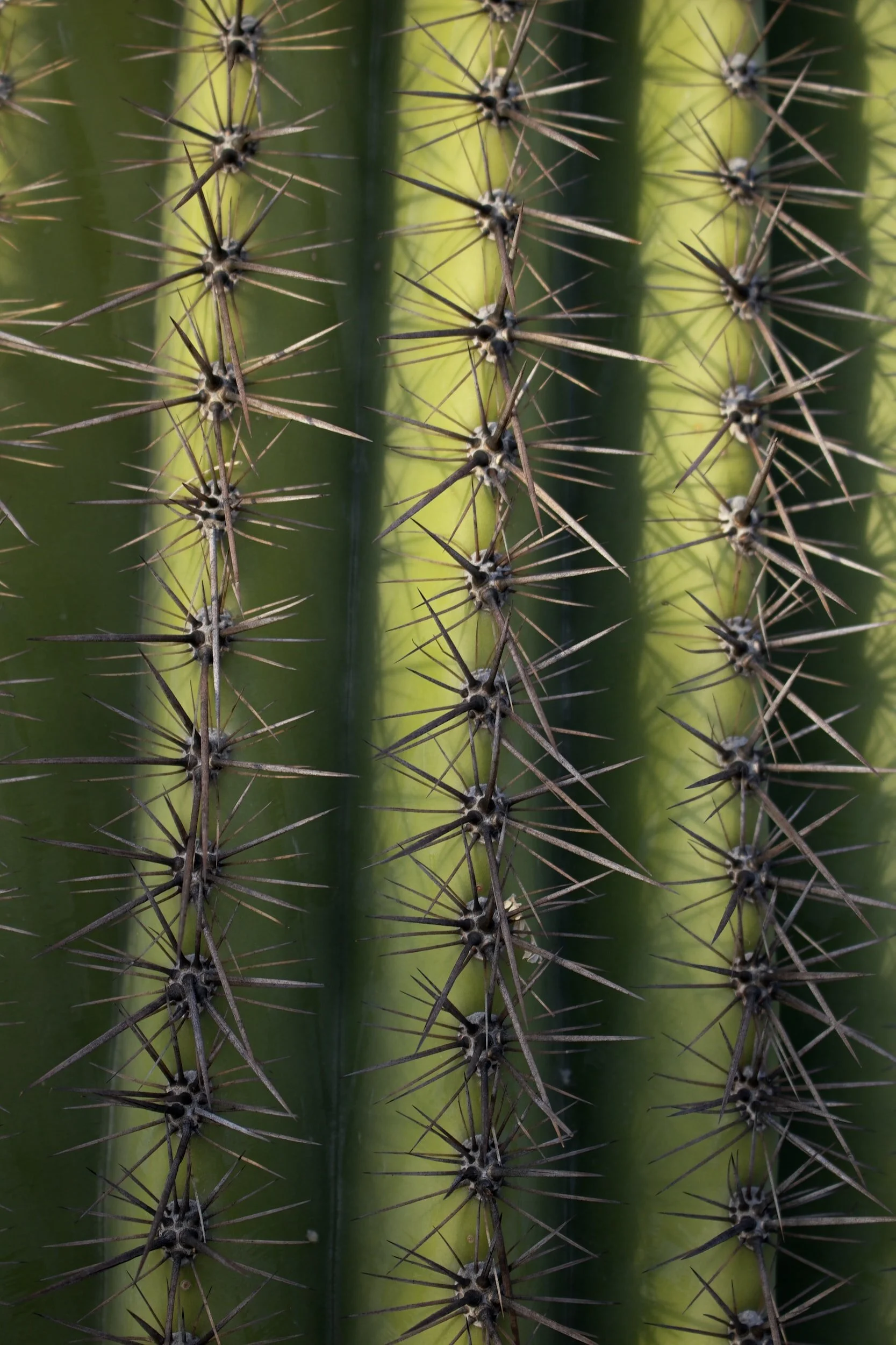 Contact us — Human Memory Lab