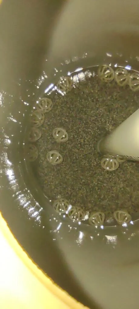 General 2 — Bridges and Sons Well Service