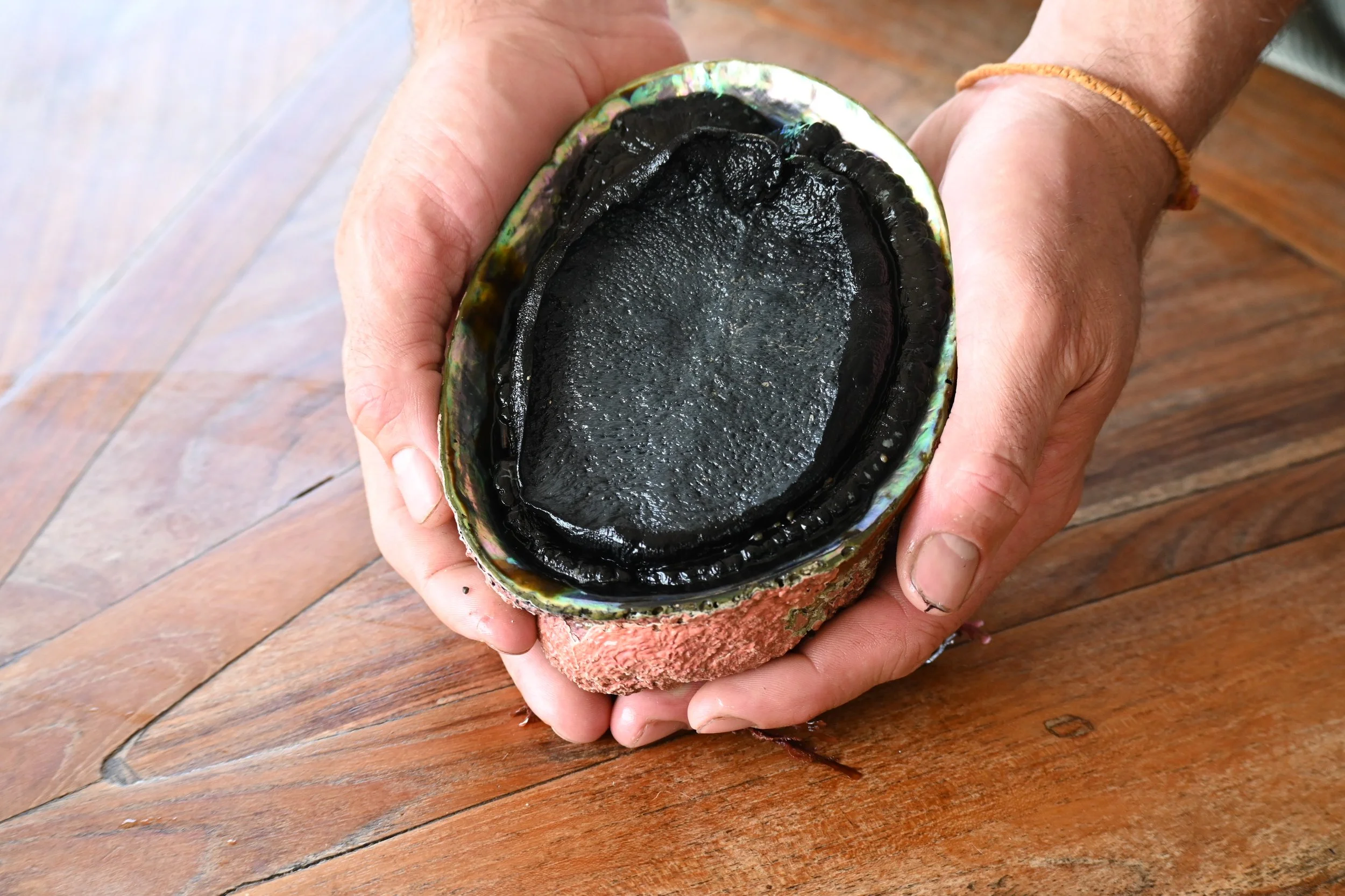 Preparing Pāua — Tora Collective - Kaimoana