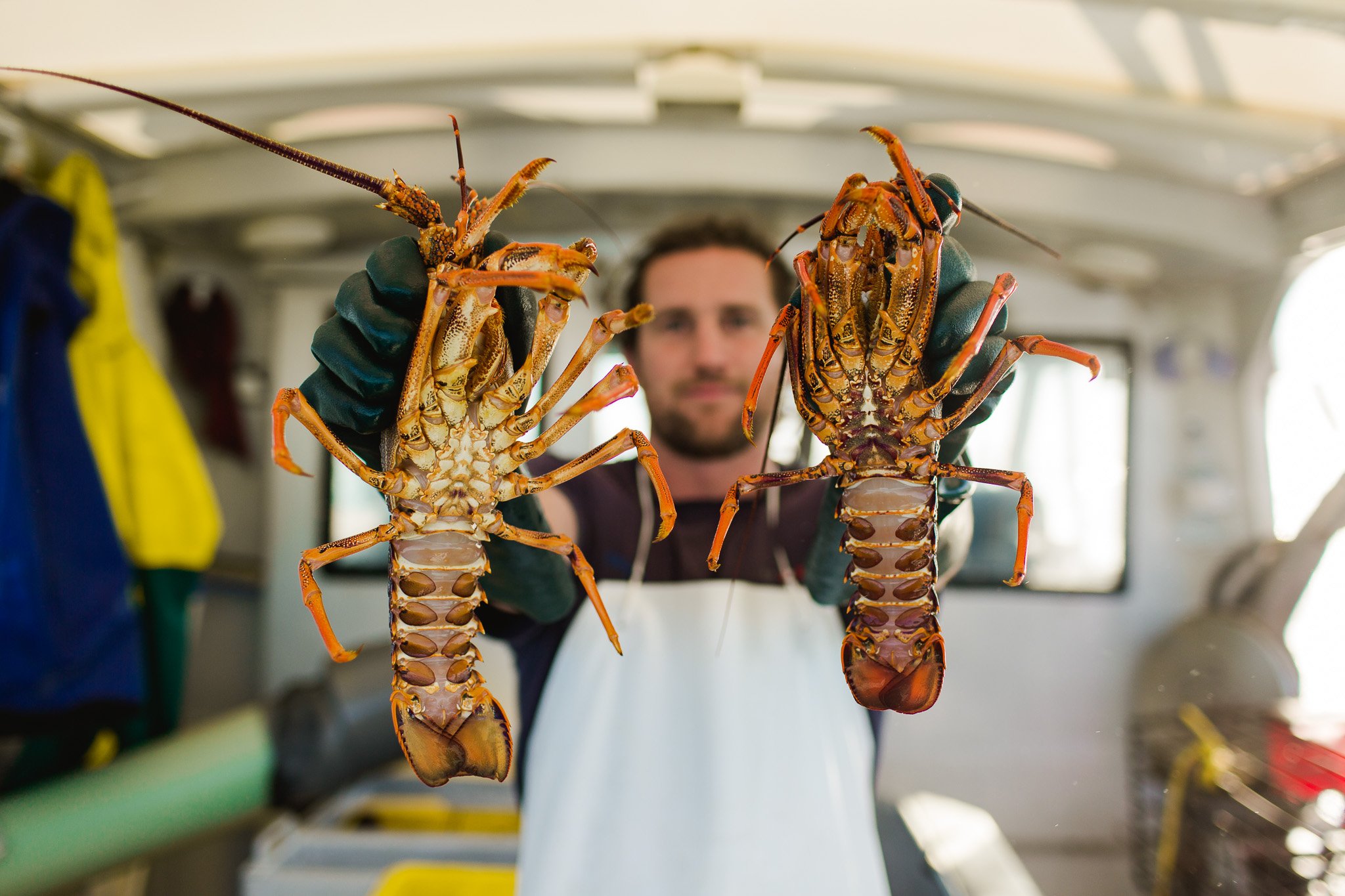 Sustainably Harvested Seafood from the Tora Coast, NZ | Our Catch ...